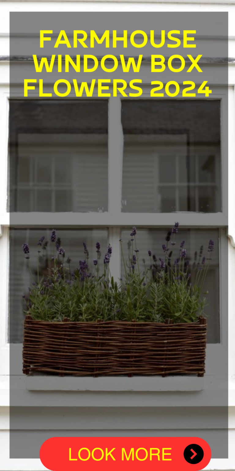 Farmhouse Window Box Flowers 2024: Expert Tips for Charming Curb Appeal